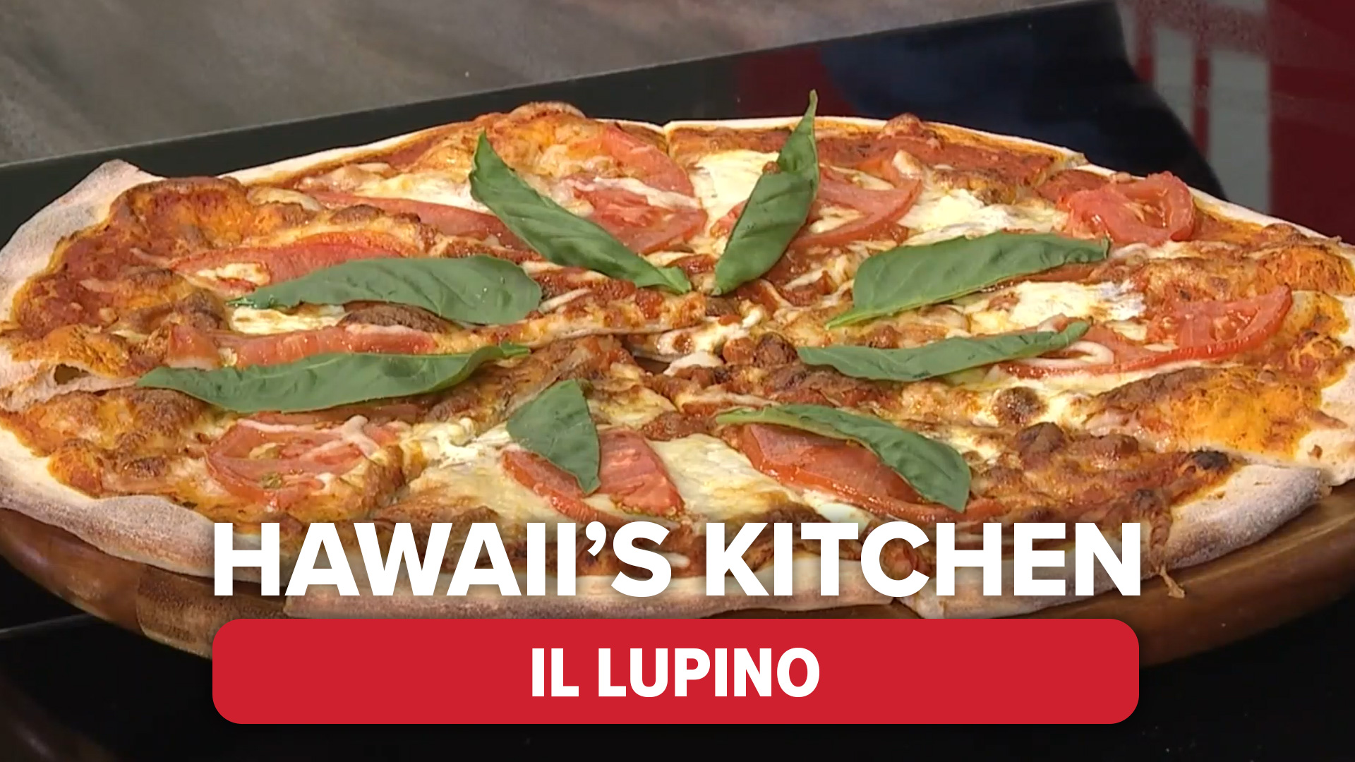 Il Lupino | Y. Hata & Co., Limited