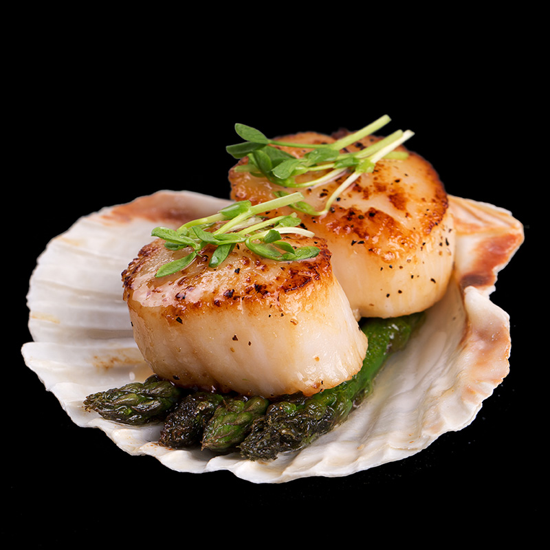 Featured Products | Y. Hata & Co., Limited