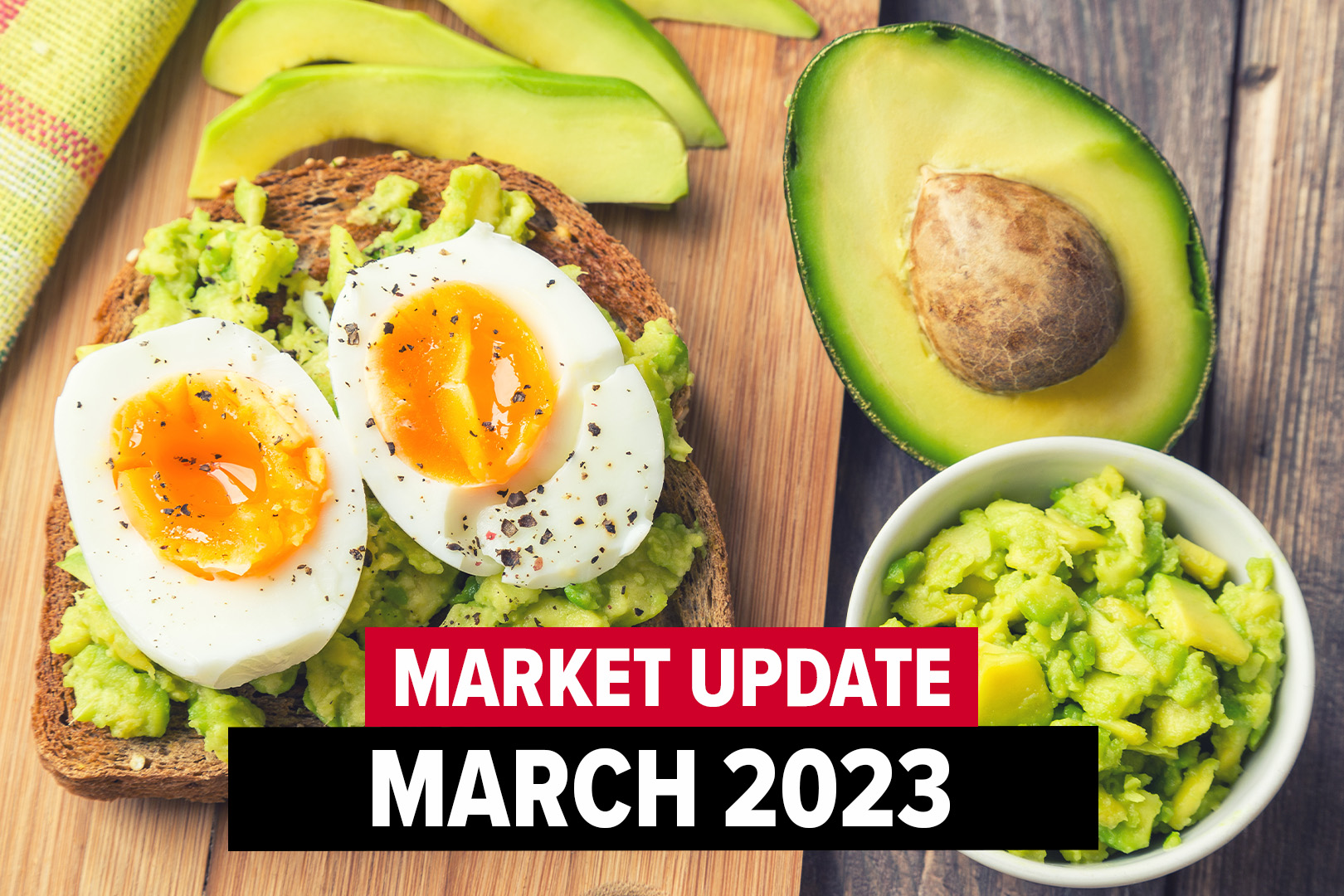 March 2023 Market Update - Y. Hata & Co., Limited