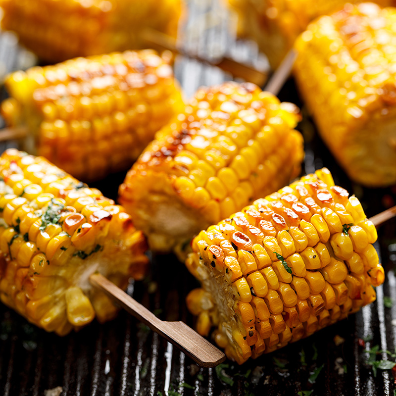 Featured Products | Y. Hata & Co., Limited