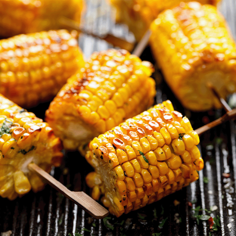 Product Catalog Temp | Y. Hata & Co., Limited